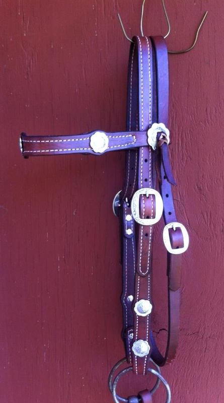Horse and Human Tack - Motivated Materials